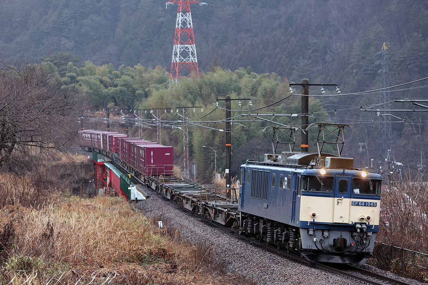 81レ 大桑～須原間: EF64-1000撮影録