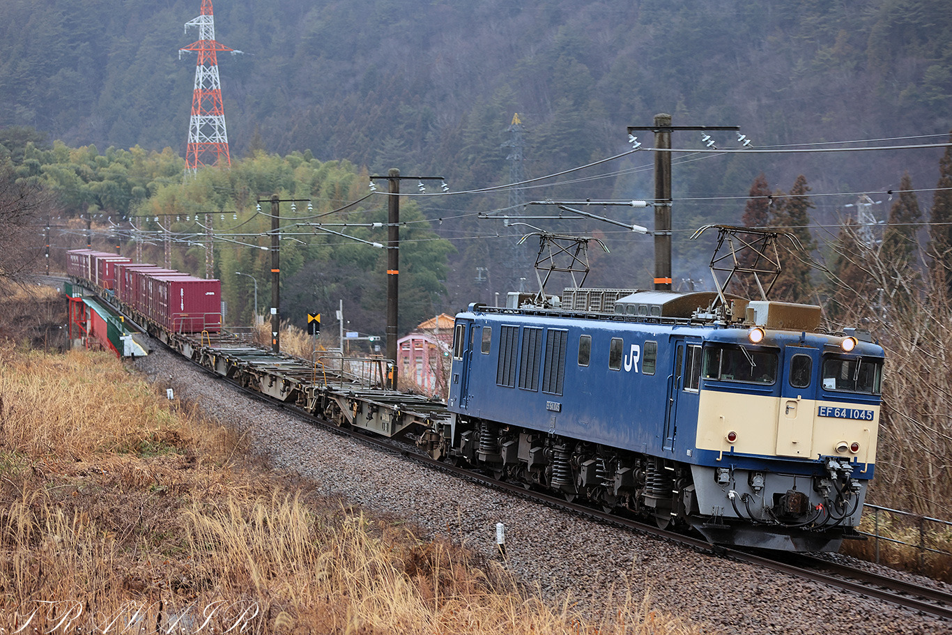 81レ 大桑～須原間: EF64-1000撮影録