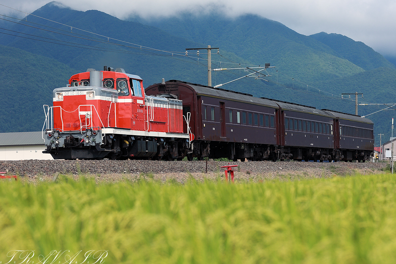 DE10・DE11・DE15: JNR 撮影記録